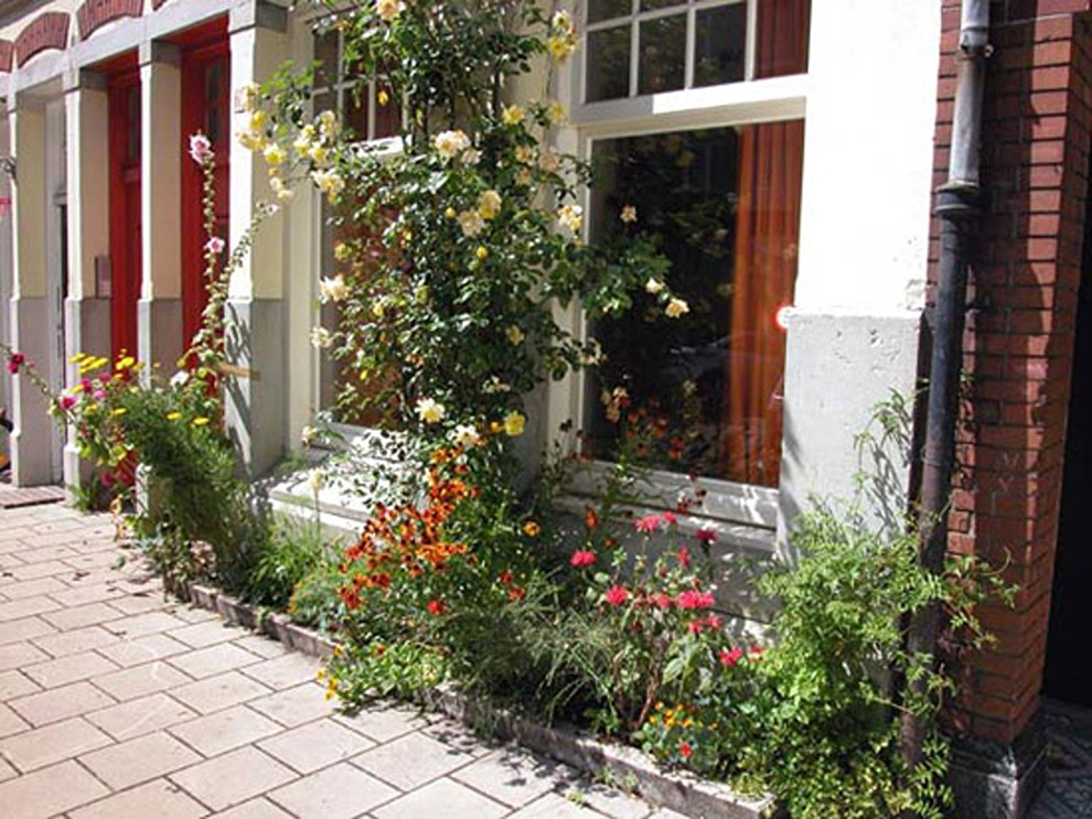 De Gouden Tuin | Klimaatswitch #VANRSL